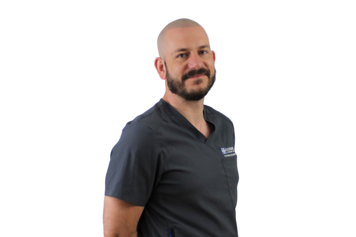 Wanstead Veterinary Hospital - Goddard Vet Group