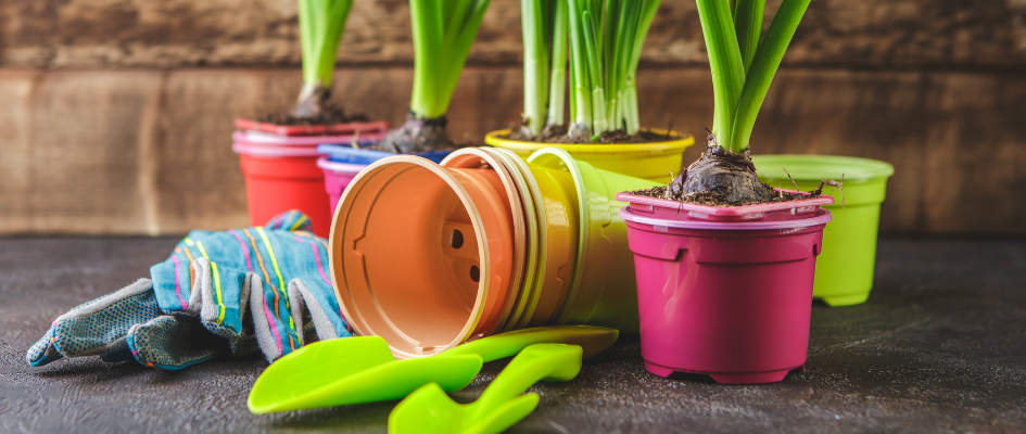 Spring Dangers & Threats to Your Pet - Goddard Veterinary Group