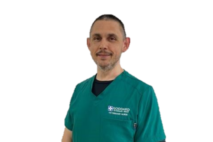 Wanstead Veterinary Hospital - Goddard Vet Group