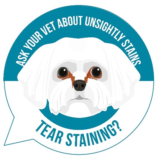 Pet Eye Health Awareness Week - Goddard Veterinary Group