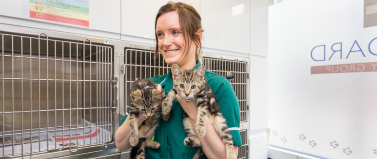 Your kitten's first vaccination appointment - Goddard Veterinary Group