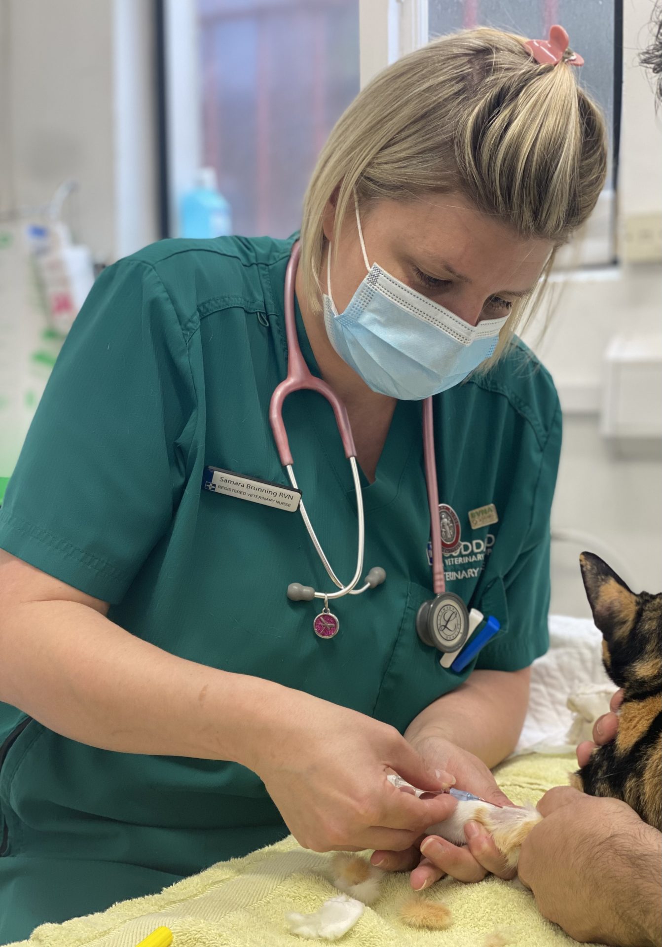 A Day In The Life Of... Samara, RVN at Barking - Goddard Veterinary Group