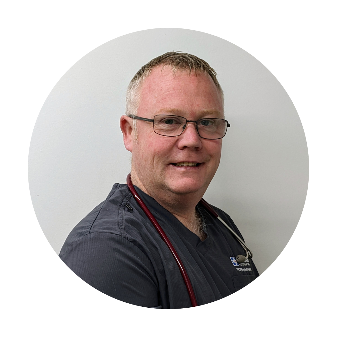 Supercharged for sole-charge - Goddard Veterinary Group