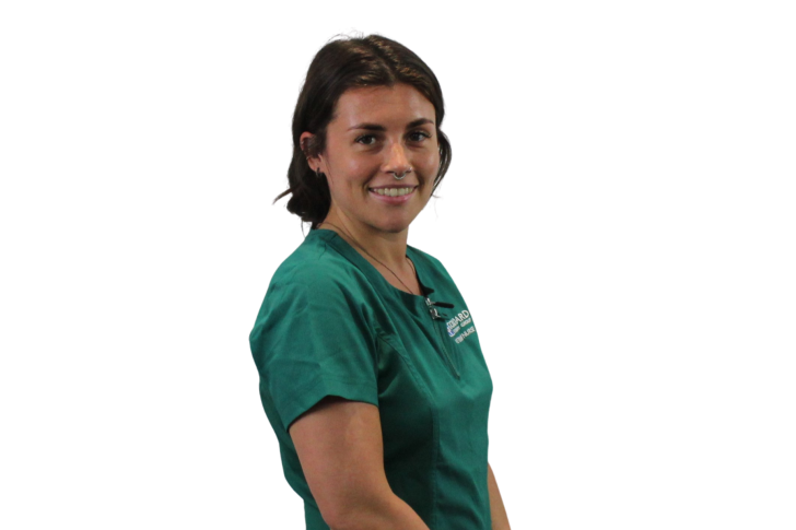 Wanstead Veterinary Hospital - Goddard Vet Group