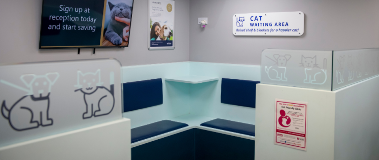 Our Mandeville Veterinary Hospital achieves top award for feline care - Goddard Veterinary Group