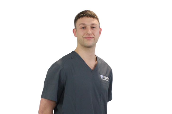 Hackney Veterinary Practice | Goddard Veterinary Group