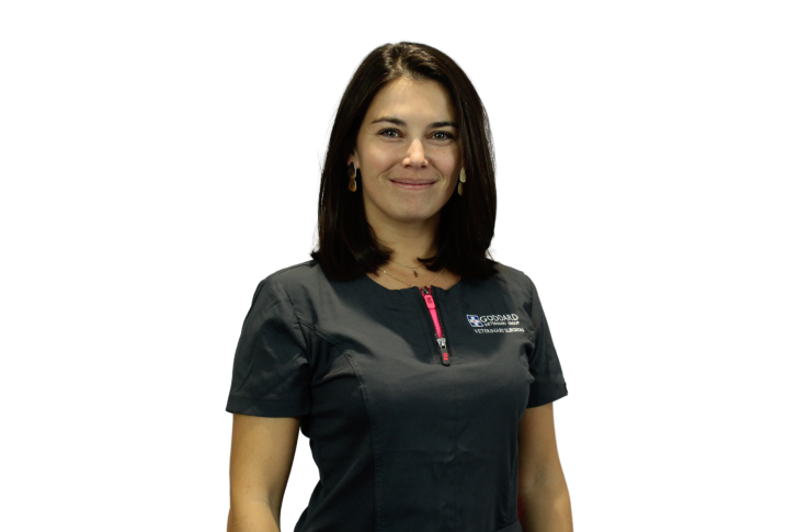 Stone Lion Veterinary Hospital - Goddard Vet Group