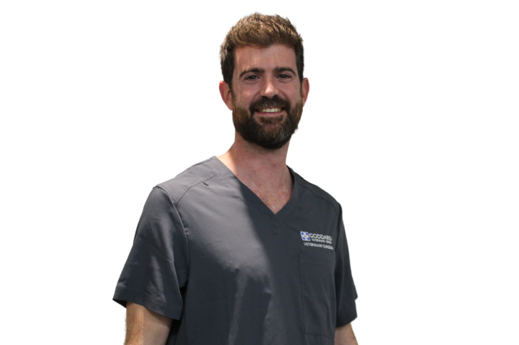 Wanstead Veterinary Hospital - Goddard Vet Group