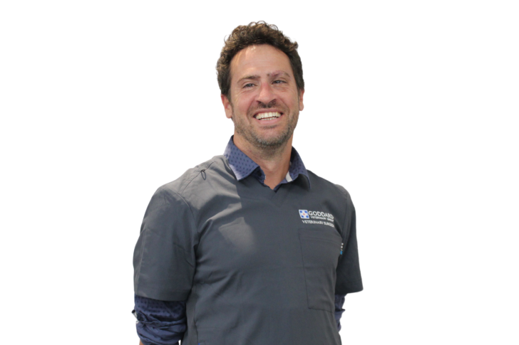 Wanstead Veterinary Hospital - Goddard Vet Group