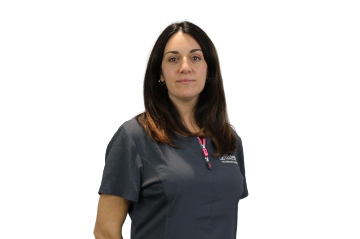 Wanstead Veterinary Hospital - Goddard Vet Group