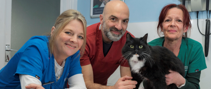 Purrfect recovery for Puds the cat after road accident - Goddard ...