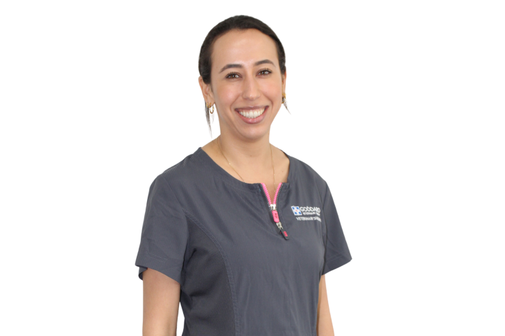Putney Veterinary Practice | Goddard Veterinary Group