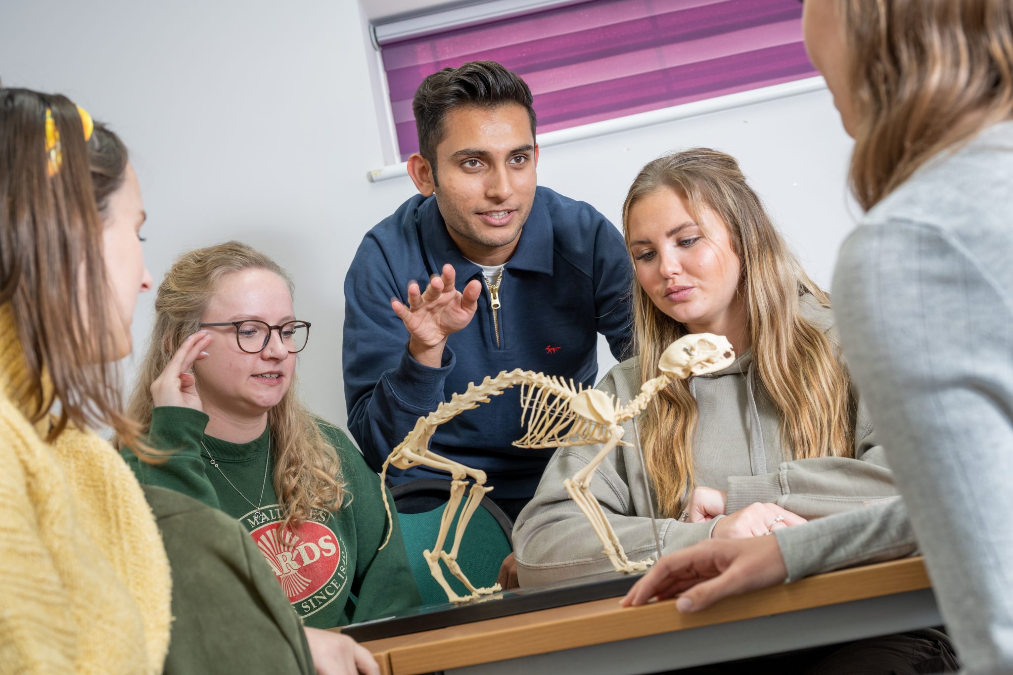 Veterinary Nursing College - Goddard Vet Group