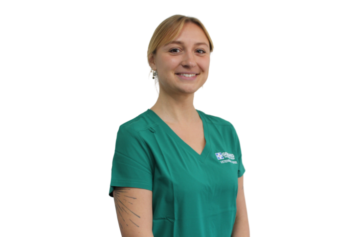 Hackney Veterinary Practice | Goddard Veterinary Group